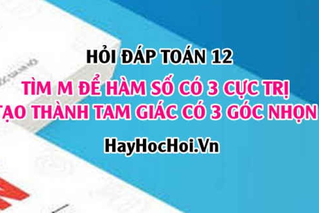 Tìm m để hàm số có 3 cực trị tạo thành tam giác có 3 góc nhọn? Toán lớp 12 - Hỏi đáp